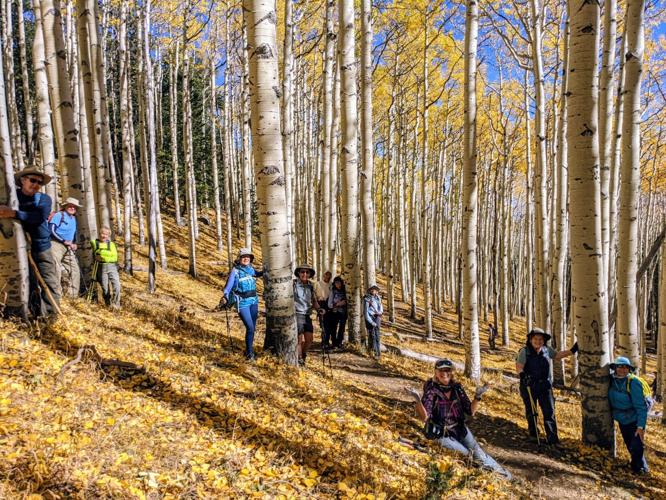 Flagstaff Lockett Meadow/Inner Basic Trail | Clubs | tucson.com