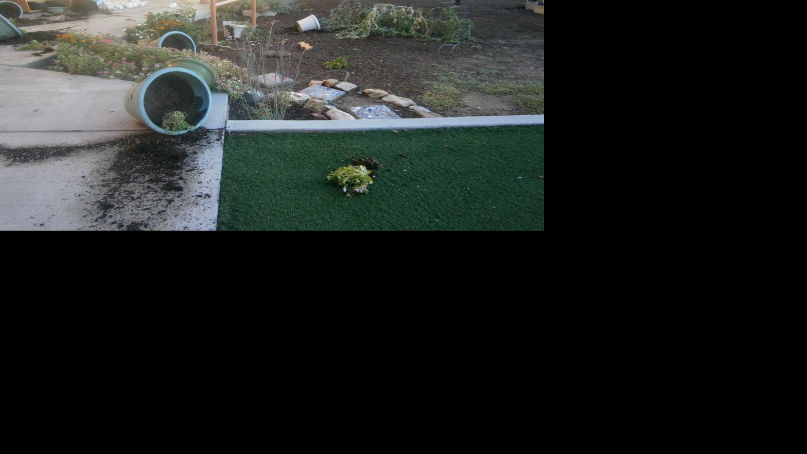 Someone smashed up this Tucson preschool's garden and playground, here ...