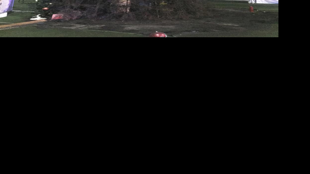 Man accused of burning Arizona city's $40K Christmas tree | Latest ...