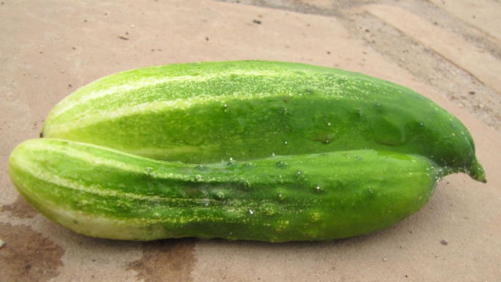 Have you ever seen a twin cucumber? | All things green in Tucson ...