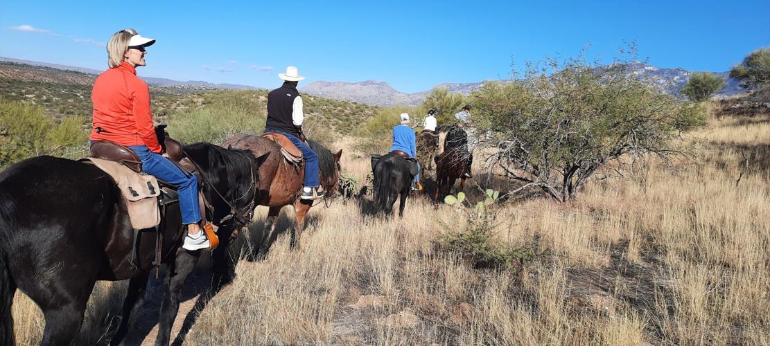 Horseback Riding | Arts-and-leisure | tucson.com