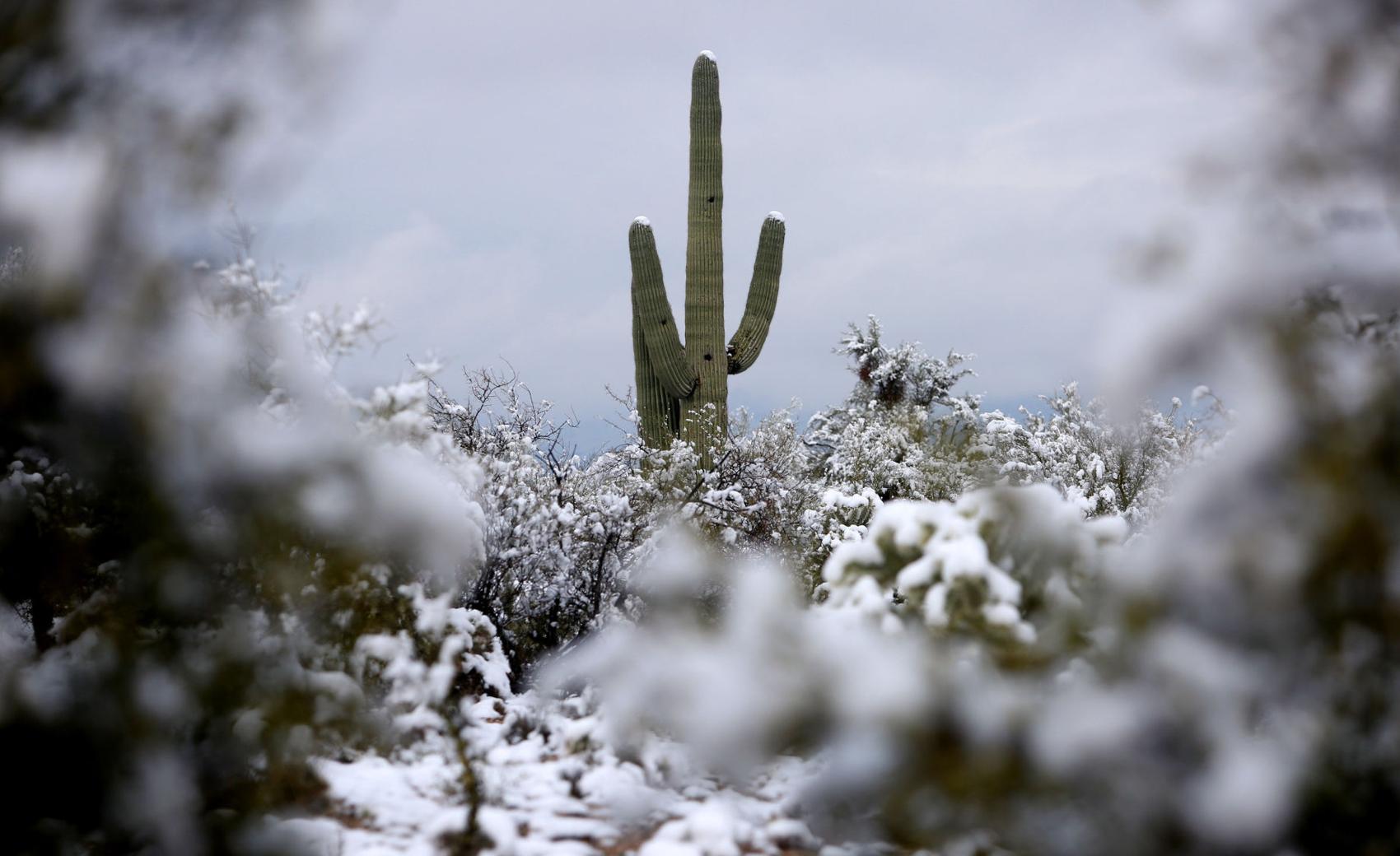 Inches of snow, frigid temperatures chill Southern Arizona