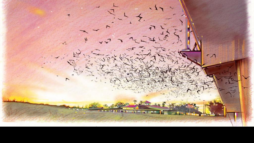 Let's go for a walk: Rillito River