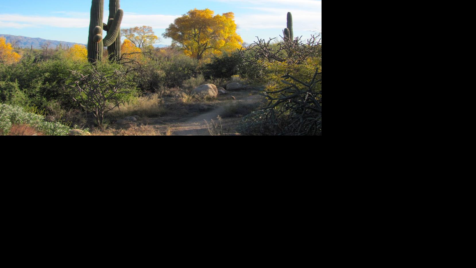 Tucson weather: A break in the storm