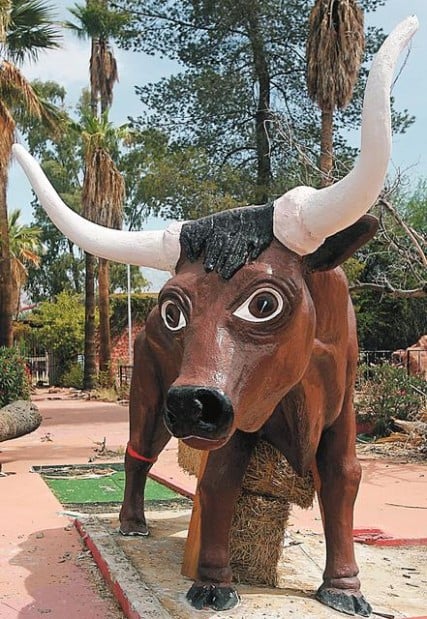 Holy cow! Magic Carpet bull gets a name, new life