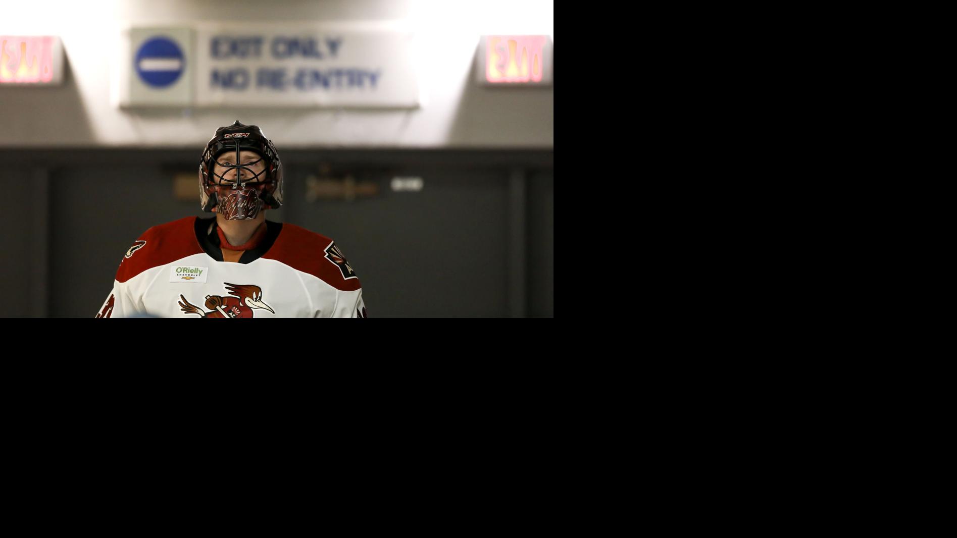 Tucson Roadrunners' season called off; team finishes with best record ...