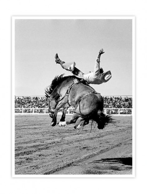 Photographer shoots her way to rodeo fame