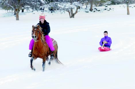 Hit-and-run storm smacks Bay area