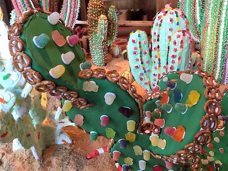 Check out a life-size cactus garden made of candy 🌵🍭 | tucson life ...