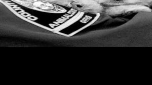 Task force spotlights smuggling of puppies