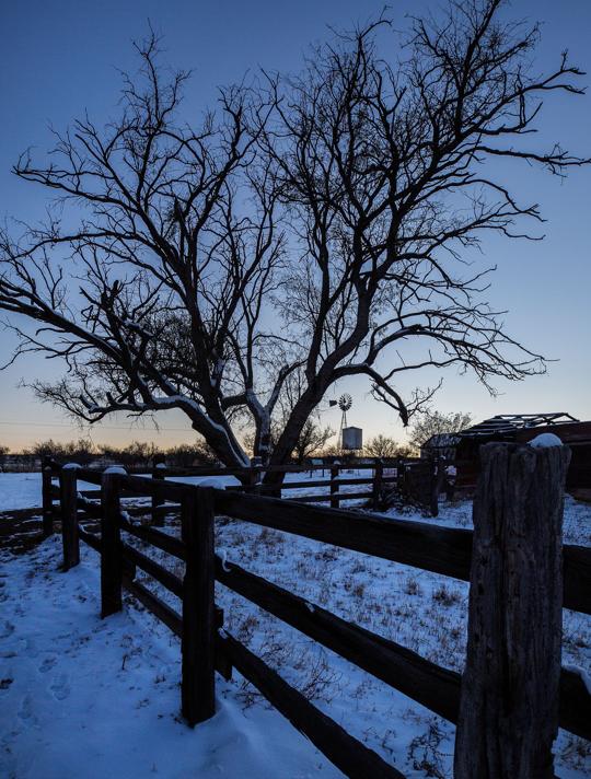 Photos: Snow around Tucson and Southern Arizona
