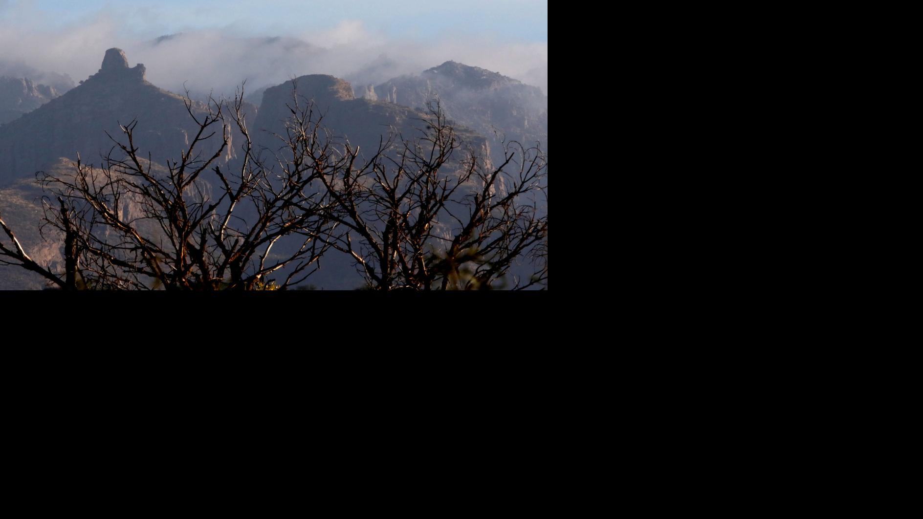 Tucson's top temperature of 56 Tuesday coldest high since Feb. 3