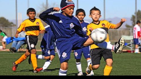 Phoenix team captures Shootout title in first season