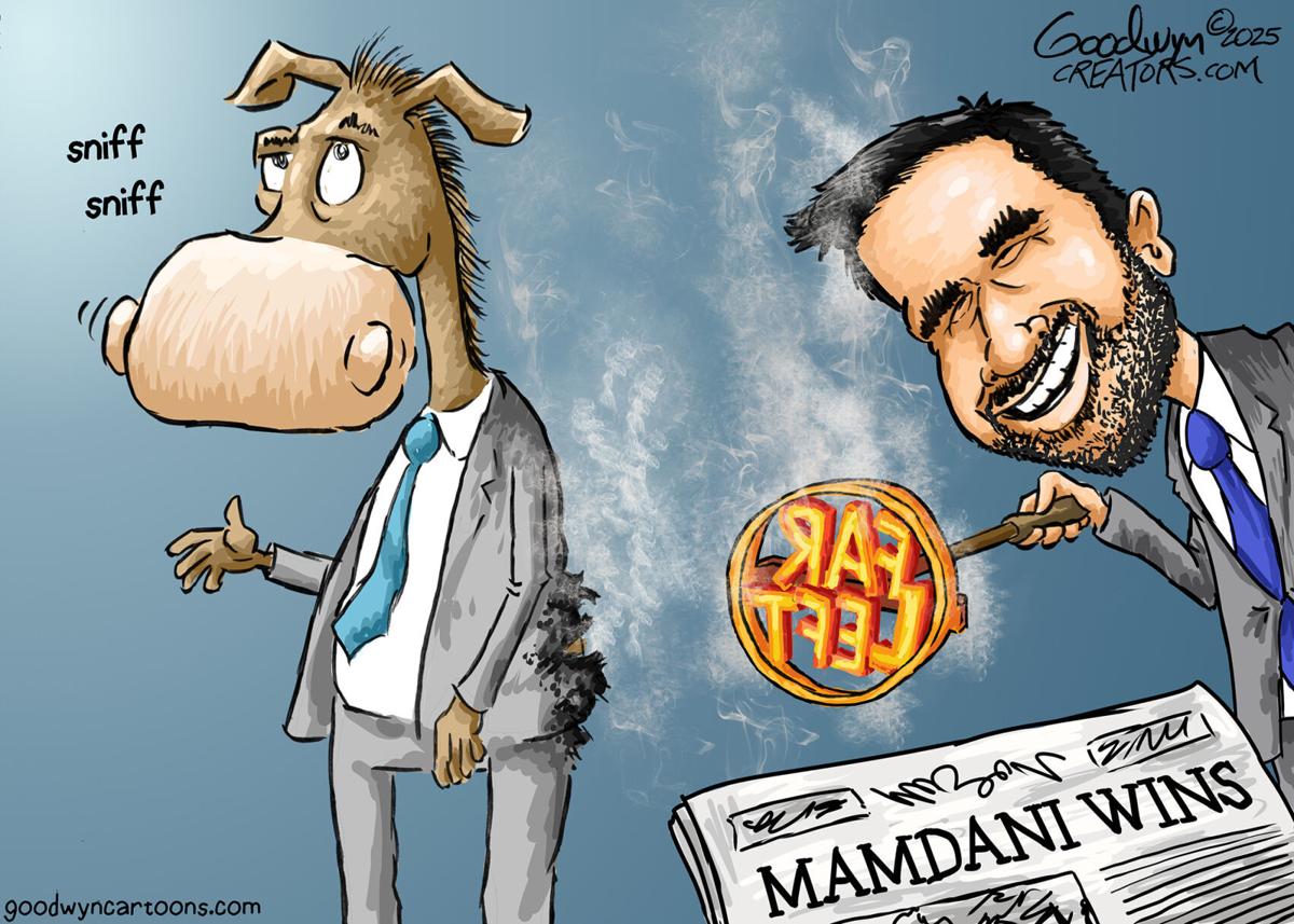11 political cartoons bite into the Big Apple's election of Zohran Mamdani