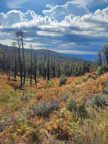 Mountain Weather Shortens a Hike | Clubs | tucson.com