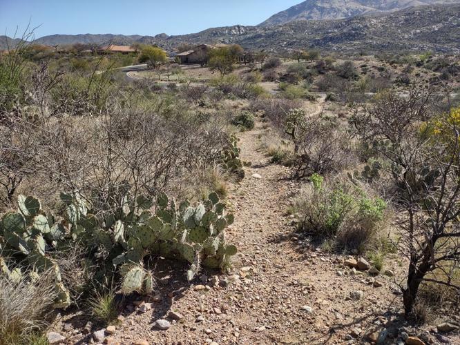 SaddleBrooke's Hidden Dam | Arts-and-leisure | tucson.com