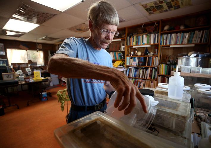 UA researcher Justin Schmidt is feeling the sting — of 83 different ...