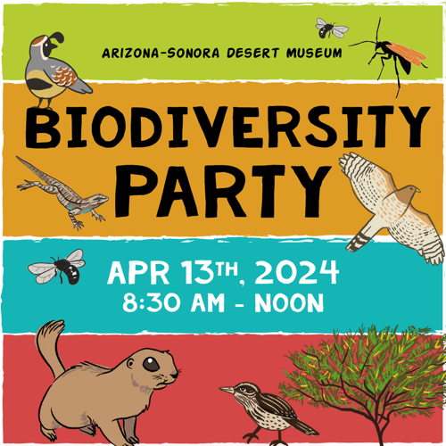 2024_biodiversity-party-1080x1080.png