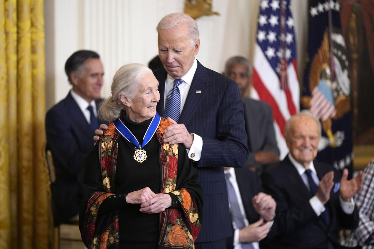 Photos: Remembering Jane Goodall, 1934-2025