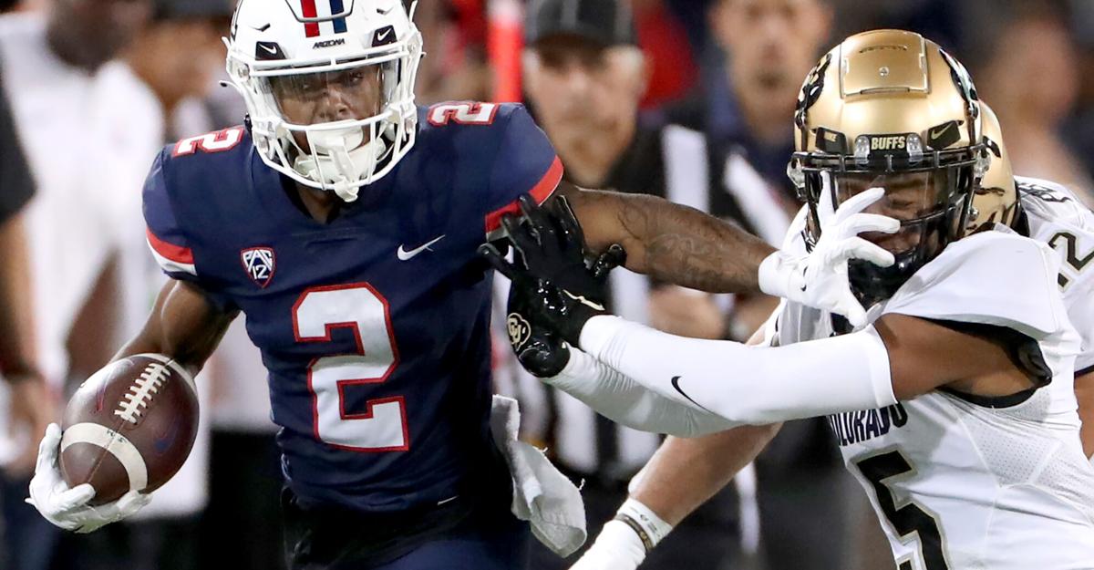 Report card: Which Wildcats made the grade during football season's ...