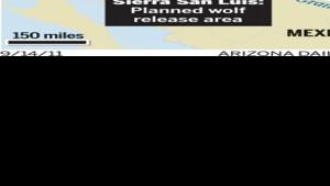 mexican grey wolf range