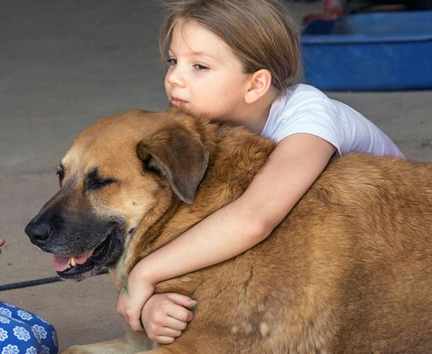 Photos: Therapeutic Ranch for Animals and Kids