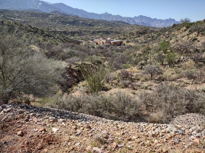 SaddleBrooke's Hidden Dam | Arts-and-leisure | tucson.com
