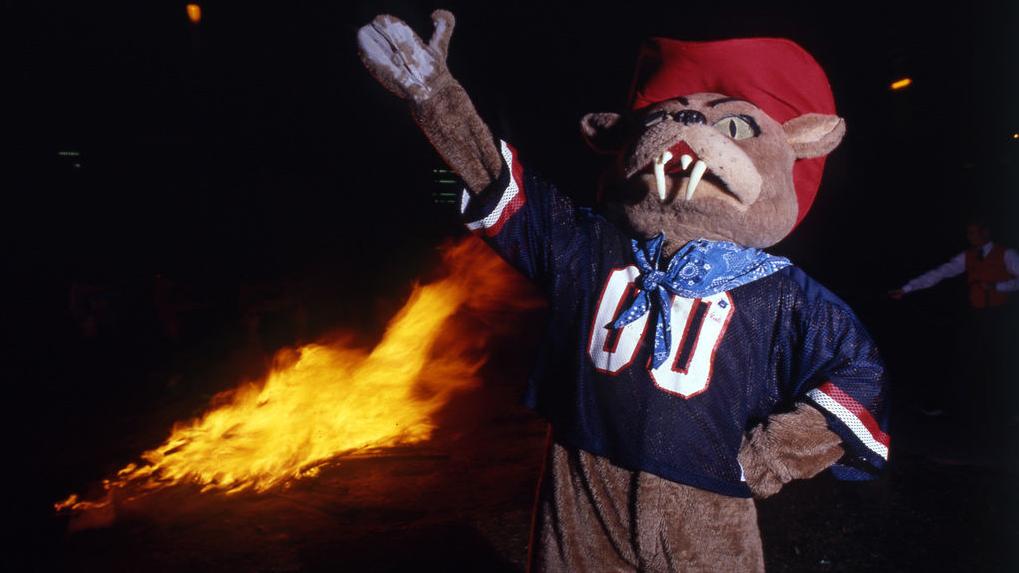 Photos: Tucson's famed Wilbur and Wilma Wildcat through the years at UA
