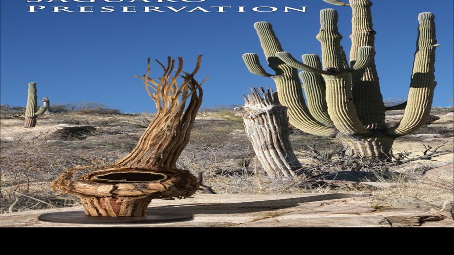 Tucson Crafts and Fairs Feb. 18-24