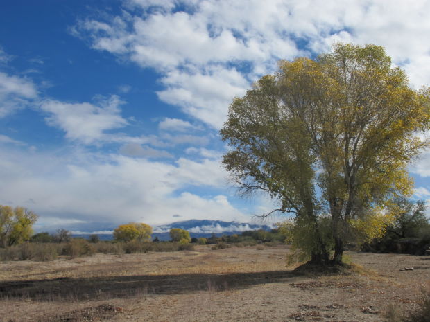 Tucson enjoying its second autumn