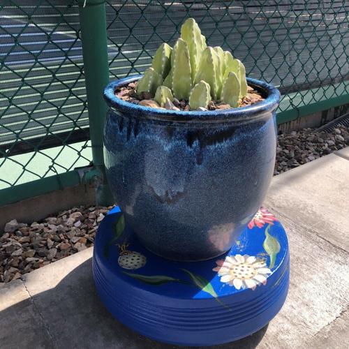 SaddleBrooke Pickleball Association Members Donate Ceramic and Pottery ...