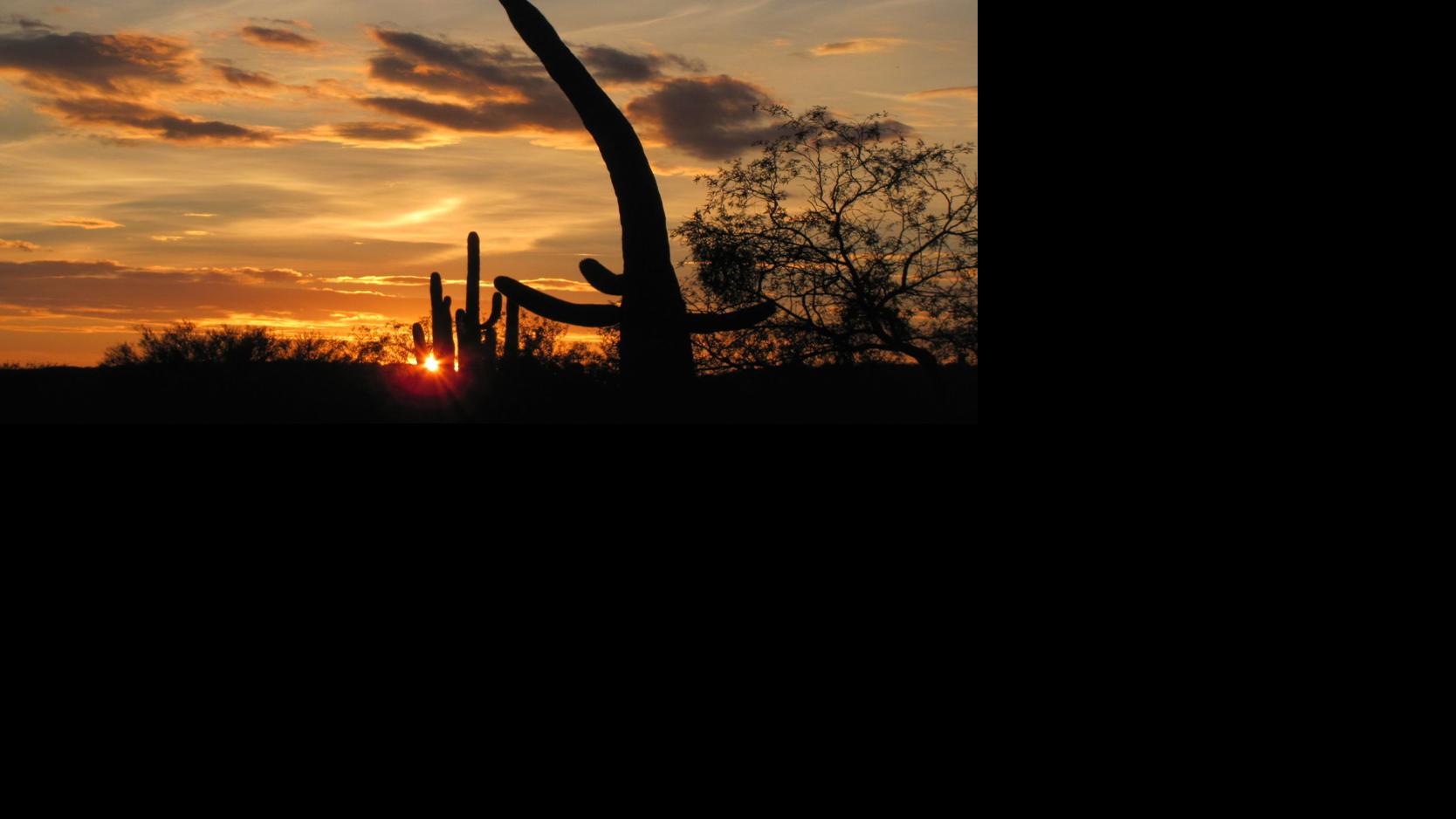 Tucson weather: Heat warning today | Local news | tucson.com