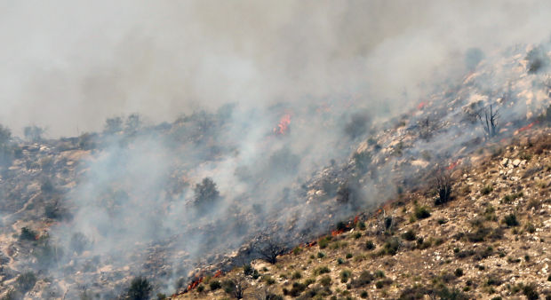 Photos: Fire on Mount Lemmon