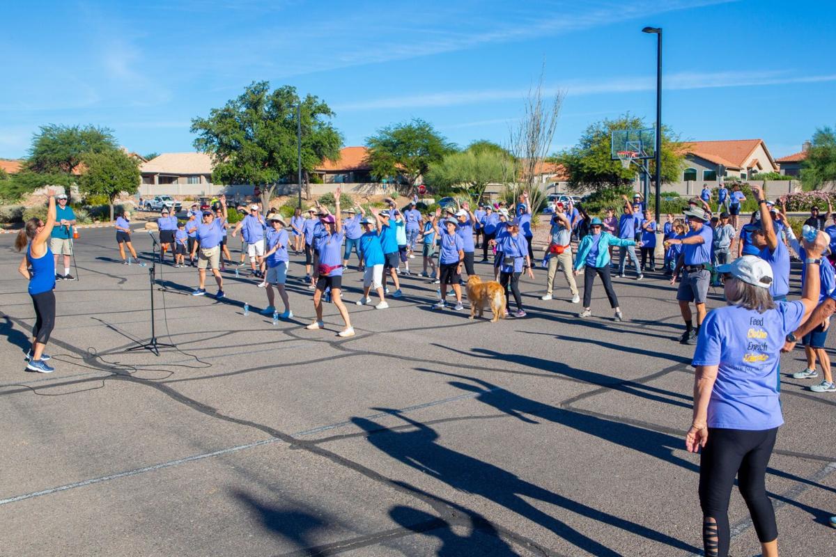 Register NOW for the 27th Annual SaddleBrooke Community Outreach Walk ...