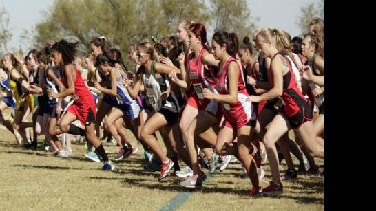 Photos: High school cross country meet