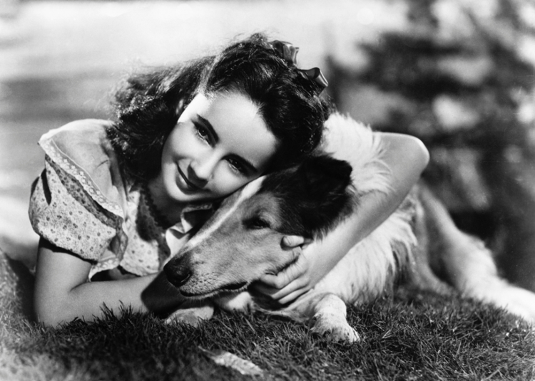 Elizabeth Taylor: The life story you may not know