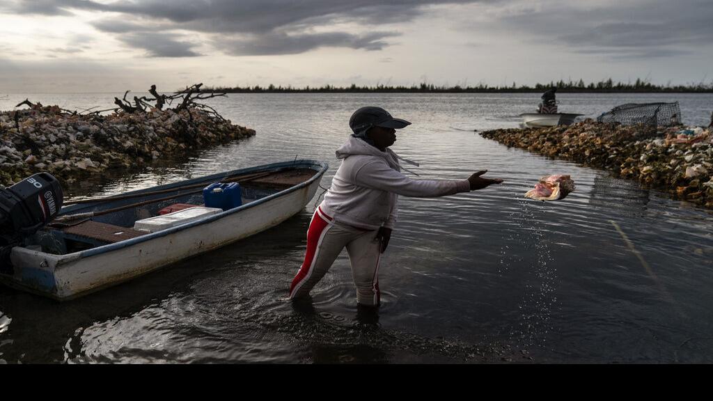 Overfishing is threatening the conch, vital to the way of life in the ...