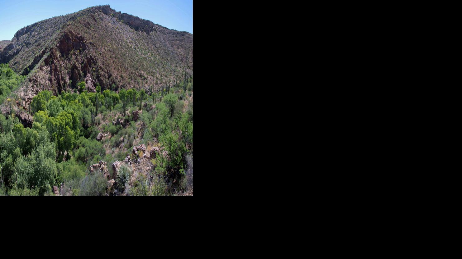 Pima County set to buy remote ranch for $1.55M to expand its park system