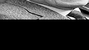 Mike Douglas, 21 years a TV host, dies on 81st birthday