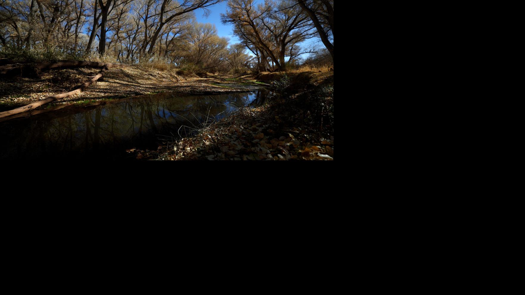 San Pedro River water levels fall below court-set minimums | Subscriber ...