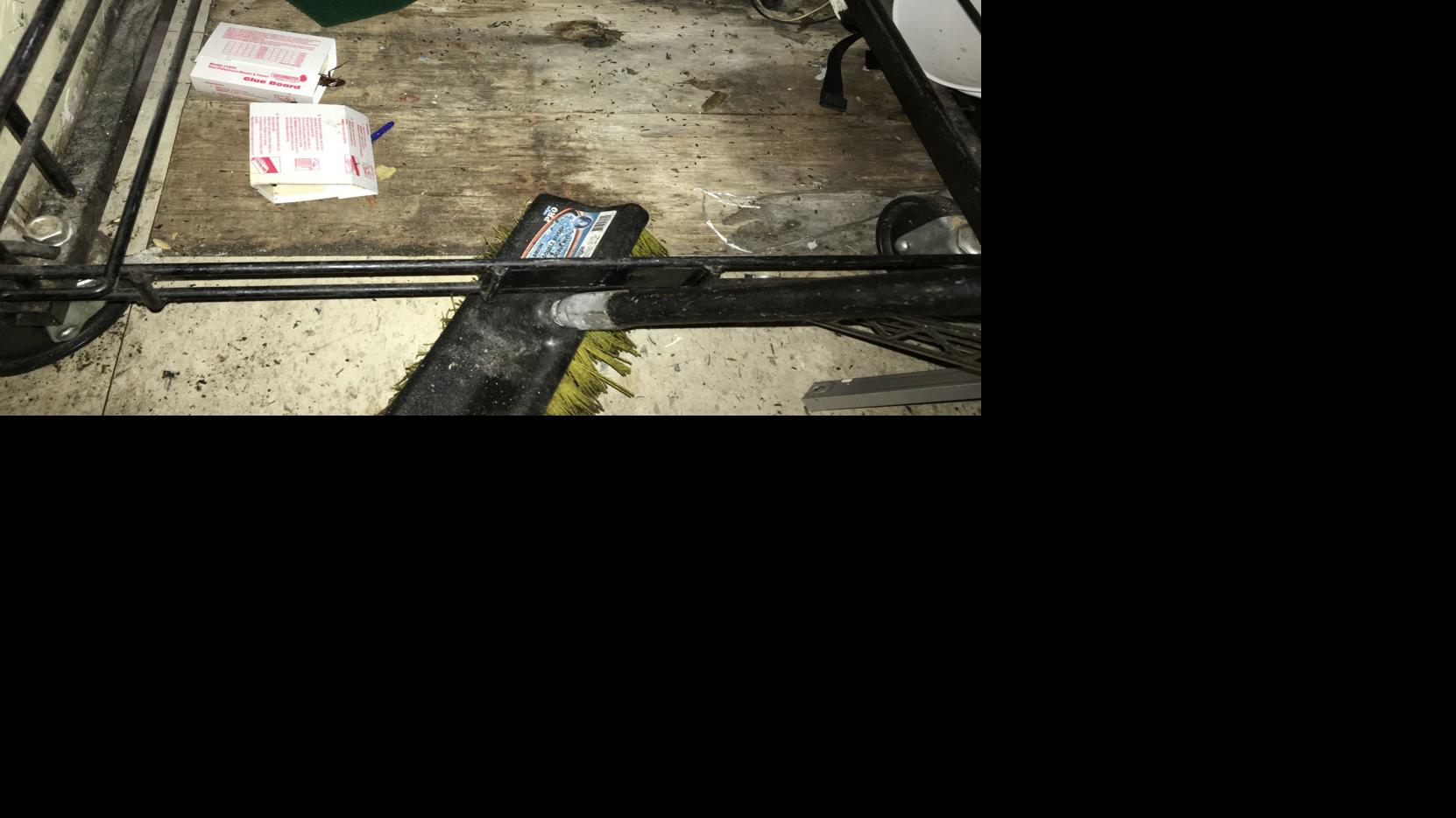 Mutts Premium Hot Dogs & Sausages