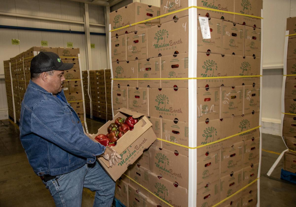 Nogales tomato industry balks at new import costs