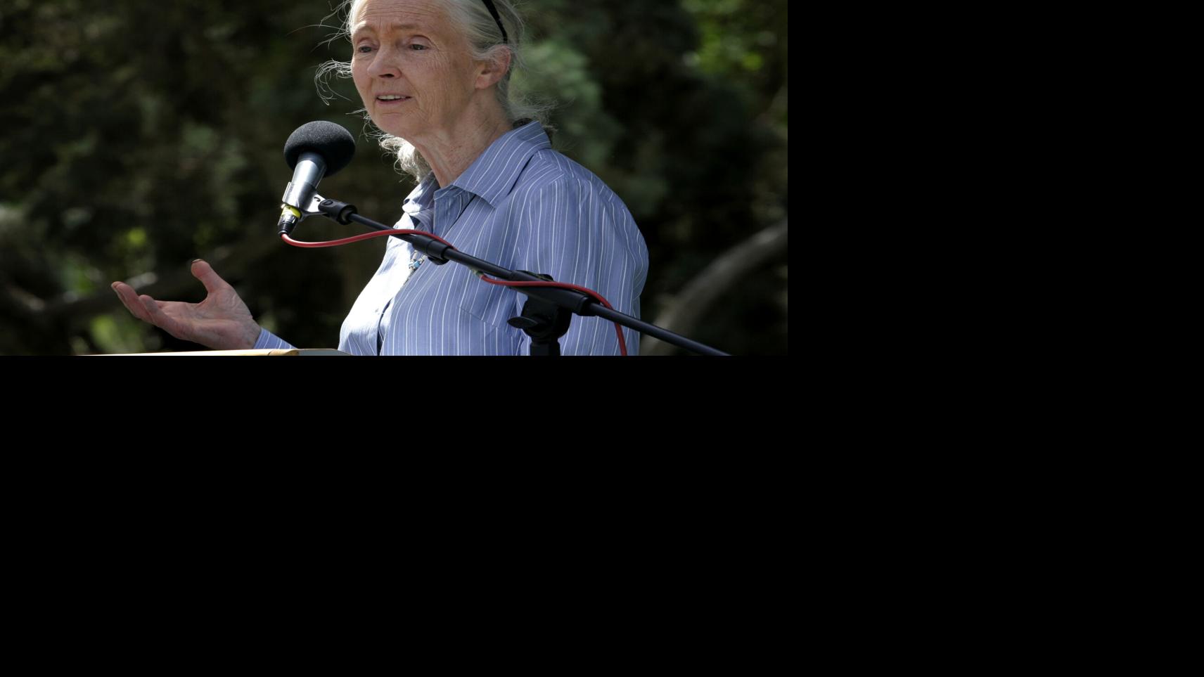 Jane Goodall dies; her institute was based in Tucson 7 years
