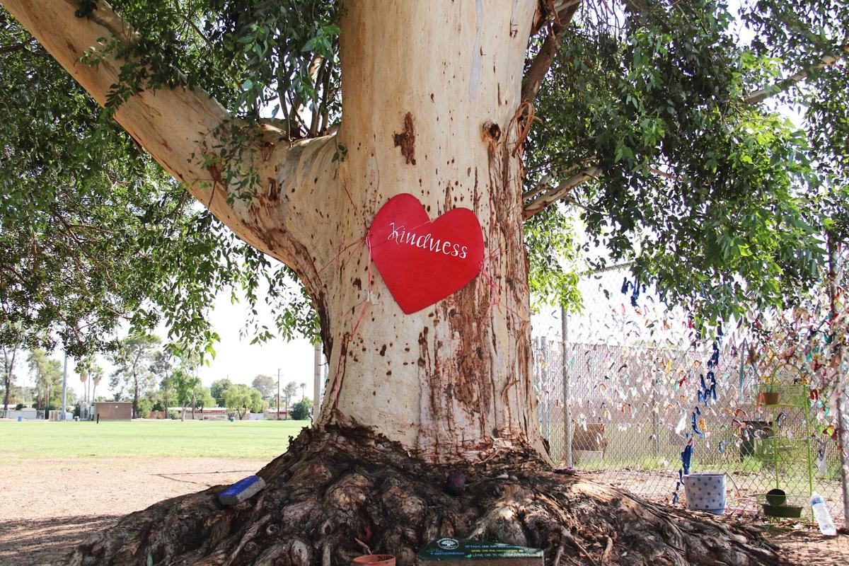 Kindness trees, labyrinths: How 3 Tucson neighborhoods have connected ...