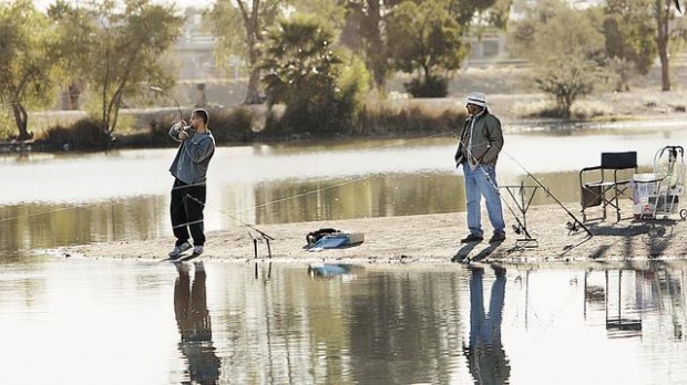 FISHING IN TOWN