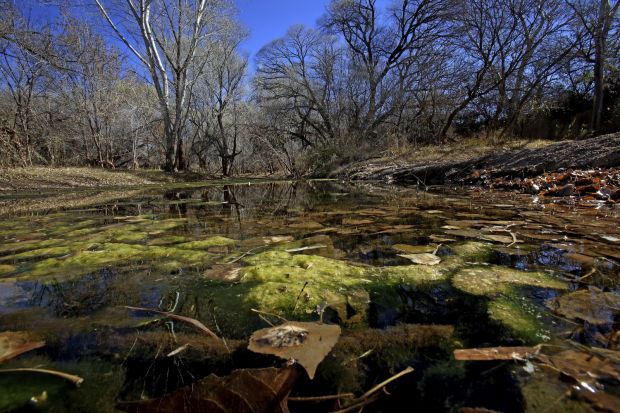 Cienega Creek awaits Spring