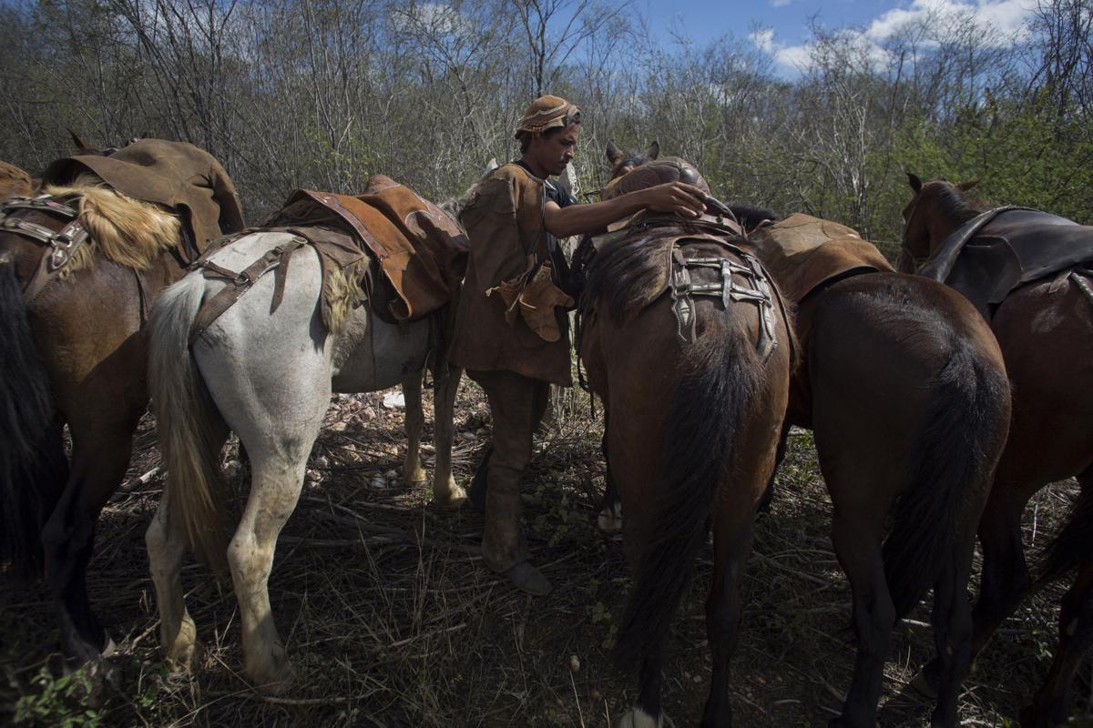 Brazilian cowboys
