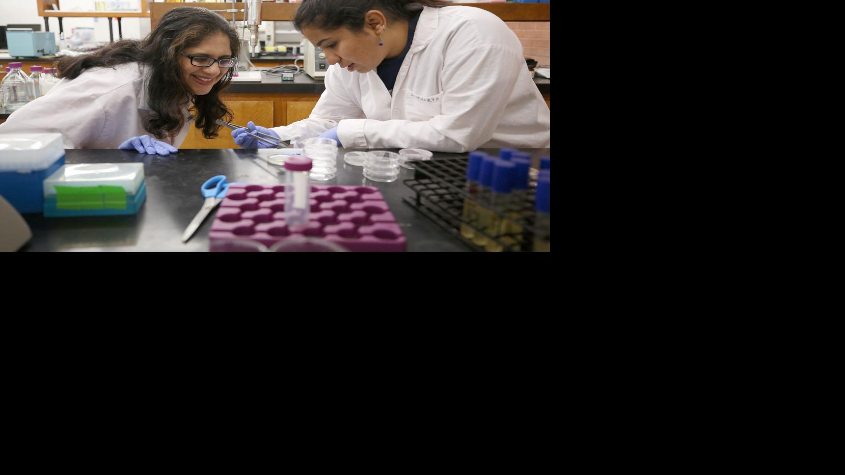 UA researcher part of team effort to remove icky germs from produce