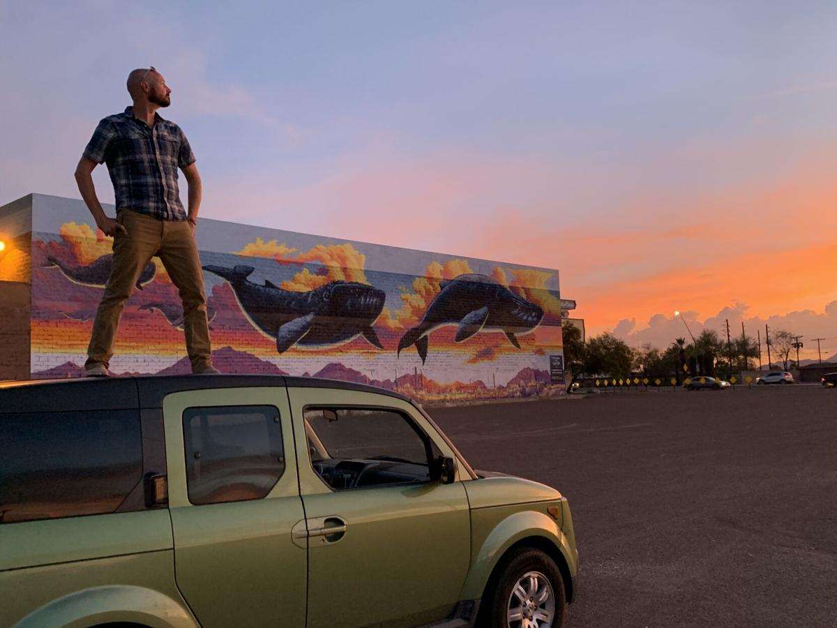 New Starbucks unlikely to dampen beloved Tucson whale mural