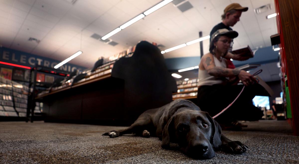 After closing 2 stores, Bookmans opens new Tucson location